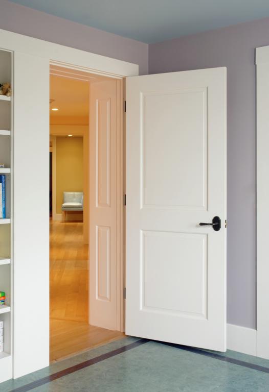 TS2020 | Contemporary 2 Panel Shaker Interior Door | TruStile